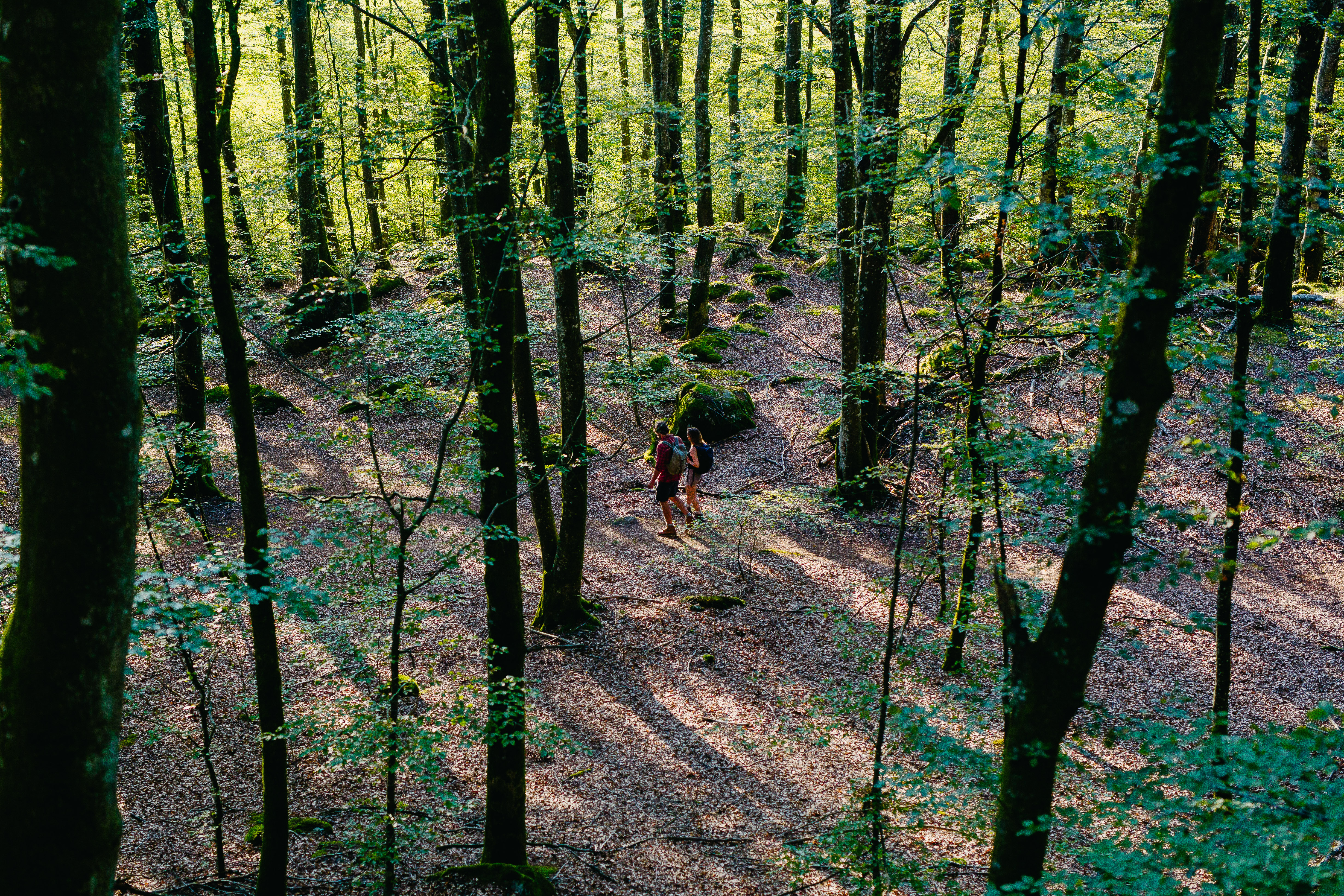 Åkulla Bokskogar – Ski Unlimited